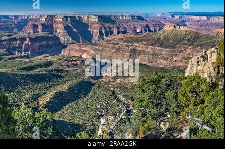 Grand Canyon, zone de l'amphithéâtre Tapeats, vue depuis Crazy Jug point sur le plateau nord ...