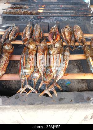 Le poisson fufu est le thon listao ou le gros thon fumé. La fumée ...