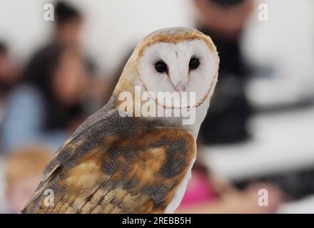 Fairmont City, États-Unis. 26 juillet 2023. Jane Seitz, directrice ...