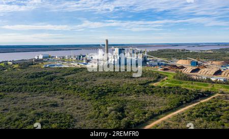 Usine finlandaise de pâte UPM située le long du fleuve Uruguay, dans le ...