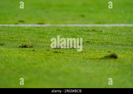 Enschede, pays-Bas. 10 août 2023. ENSCHEDE, PAYS-BAS - 10 AOÛT : Mats ...
