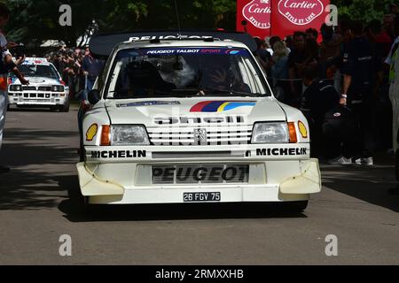 James Rimmer, Peugeot 205 T16 E2, 50 ans de WRC, Championnat du monde ...