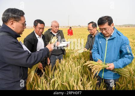 191025 -- YOPURGA, le 25 octobre 2019 -- un expert examine la récolte ...