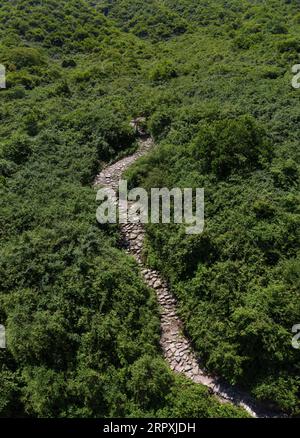 200526 -- YINGJING, 26 mai 2020 -- une photo prise le 25 mai 2020 ...