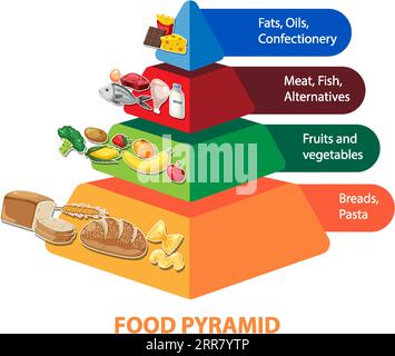 Une infographie illustrée représentant une pyramide alimentaire de dessin animé pour comprendre ...