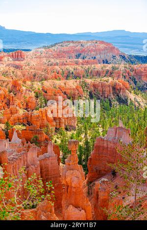 Formations de roches rouges montrant une érosion dans le Fay Canyon ...