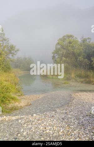 Zone de conservation de la nature de la vallée d'Isar. La rivière ...