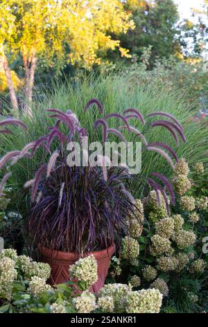Un jardin mystique accueillant avec une belle fontaine violette ...