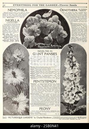 Tout pour le jardin New York, Peter Henderson & Co, c1915 fleurs ...