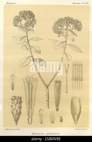 Histoire physique, naturelle, et politique de Madagascar, Paris, impr ...