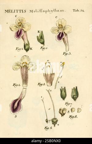 Illustratio systematis sexualis, Linnaeani, Francofurti ad Moenum ...