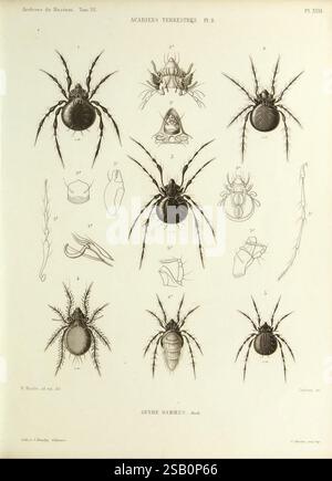 Histoire naturelle des acariens qui se trouvent aux environs de Paris ...