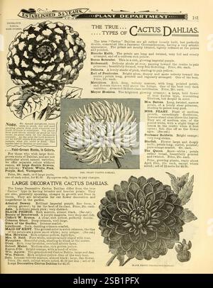 Tout, pour le jardin, New York, Peter, Henderson, &, Co, 1902, fleurs ...