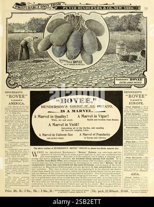 Tout pour le jardin, New York, Peter Henderson & Co, 1902 fleurs ...