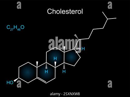 Chemical Structure of Triglycerides. Vector Illustration Image Vectorielle Stock - Alamy