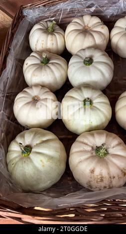 Variété de nombreux citrouilles sur le marché. Différents types de ...