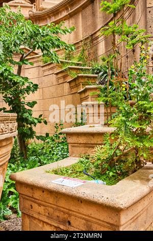 Plantes qui poussent dans les escaliers comme une ruine en ...