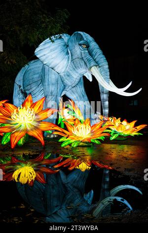 Wroclaw, Wroclaw, Pologne. 26 octobre 2023. Le thème du jardin de ...