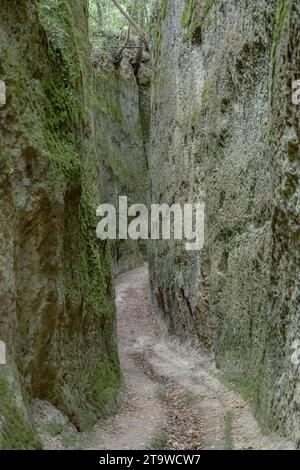 Chemin sinueux parmi les falaises rocheuses creusées sous la forêt au ...