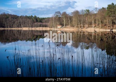 lac et forêt Bogensee, Allemagne BRD, Brandebourg - Bogensee BEI ...