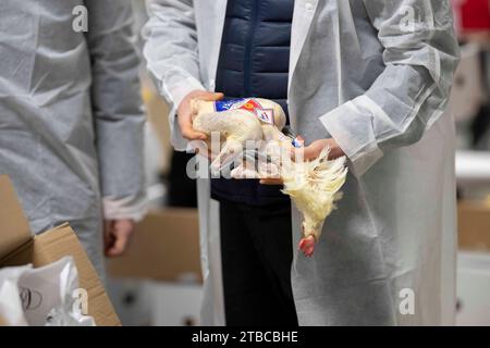 Cette photographie montre un employé qui travaille avec de la volaille ...