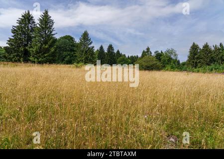 Paysage des prairies de Schwarzenberg dans la réserve naturelle de ...