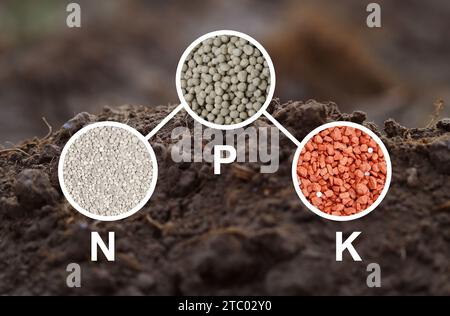Fond de sol avec lettre NPK et icône numérique des nutriments icône qui ...