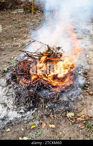Brûler les feuilles tombées dans un jardin de campagne, à l'automne ou ...