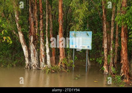 Mangroves inondées dans la banlieue nord de Holloways Beach à Cairns ...