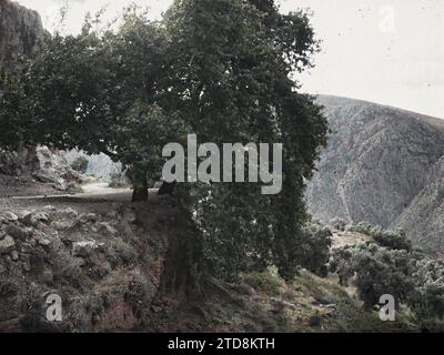 Environs de Delphes, Grèce Bend dans la route du col d'Arakhova. Roches ...