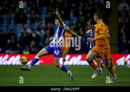 Bailey-Tye Cadamarteri de Sheffield Wednesday (au centre) célèbre avoir ...