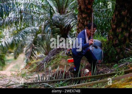 Selengau, Sarawak, Malaisie orientale. 26 janvier 2024. Une vue ...