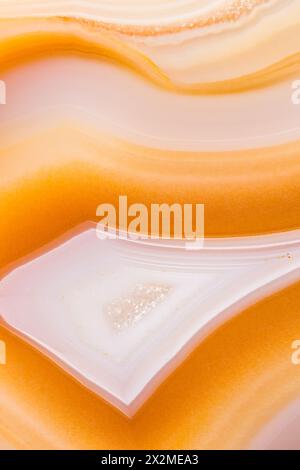 Gros plan d'une tranche d'agate brésilienne avec des tourbillons et des ...