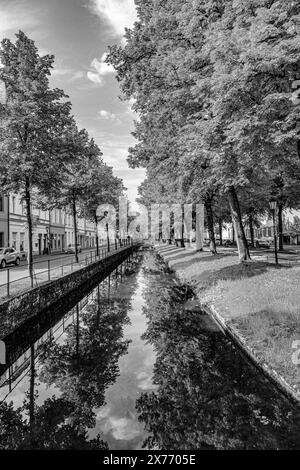 Le canal Friedrichstaler est un canal artificiel de 2 km de long dans ...