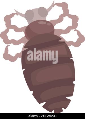 Insecte pou propageant l'infection par succion de sang sur la peau ...