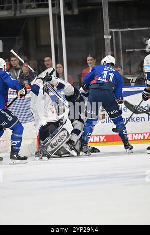 Kristian Reichel Adler Mannheim #11 beim Bully, GER, Adler Mannheim vs ...