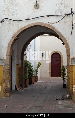 Charmante arche dans le quartier Habous de Casablanca, au Maroc, avec ...