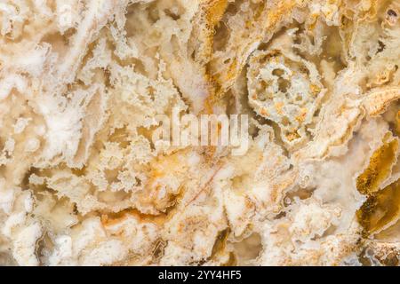 Un gros plan de pierre d'agate mettant en valeur ses couches vibrantes ...