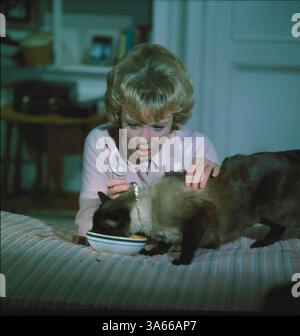 02 déc., 1965 ; Los Angeles, CA, USA ; une scène de 'Que Darn Cat ...