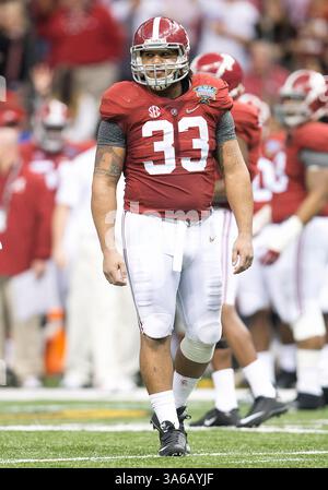 01 janvier 2015 : le linebacker de l'Alabama Shaun Dion Hamilton (11 ...
