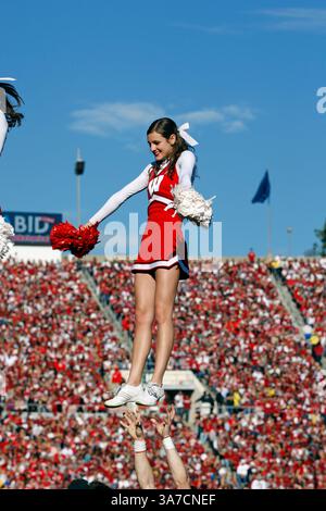 01 janvier 2013 : le quarterback Curt Phillips #10 des Badgers du ...