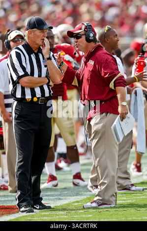 03 septembre 2011 : L'attaque offensive des Seminoles de Floride Zebrie ...