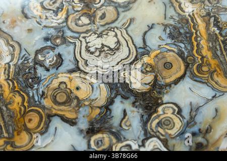 Un gros plan de pierre d'agate mettant en valeur ses couches vibrantes ...