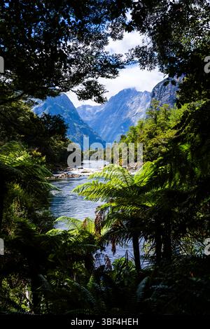 Arthur River Valley, Milford Track, Fiordland National Park, Southland ...