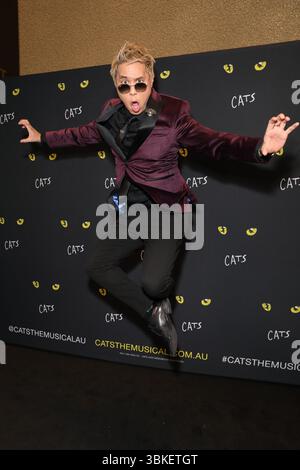 20 juin 2025 : ANDY TRIEU assiste à la soirée d'ouverture de 'Cats' au ...