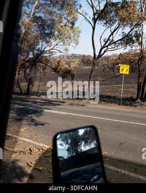 Harcourt, Victoria, Australie. 12 janvier 2026. Documentant les ...