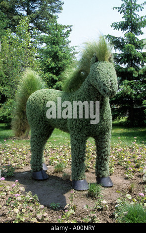 La mosaïculture animal à la mosaïculture jardin à l'effet de serre du ...