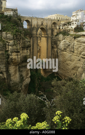 Le Parador de Ronda est un ancien hôtel de ville construit à côté du ...
