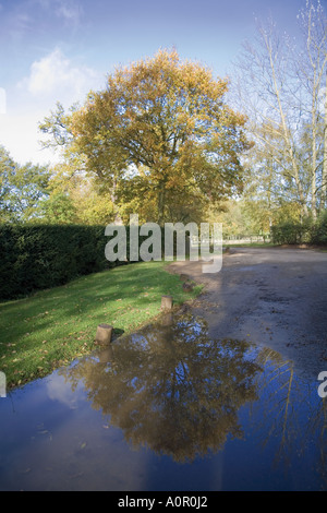 Le baddesly baddesley clinton estate baddesley clinton clinton house ...