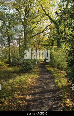 Le baddesly baddesley clinton estate baddesley clinton clinton house ...